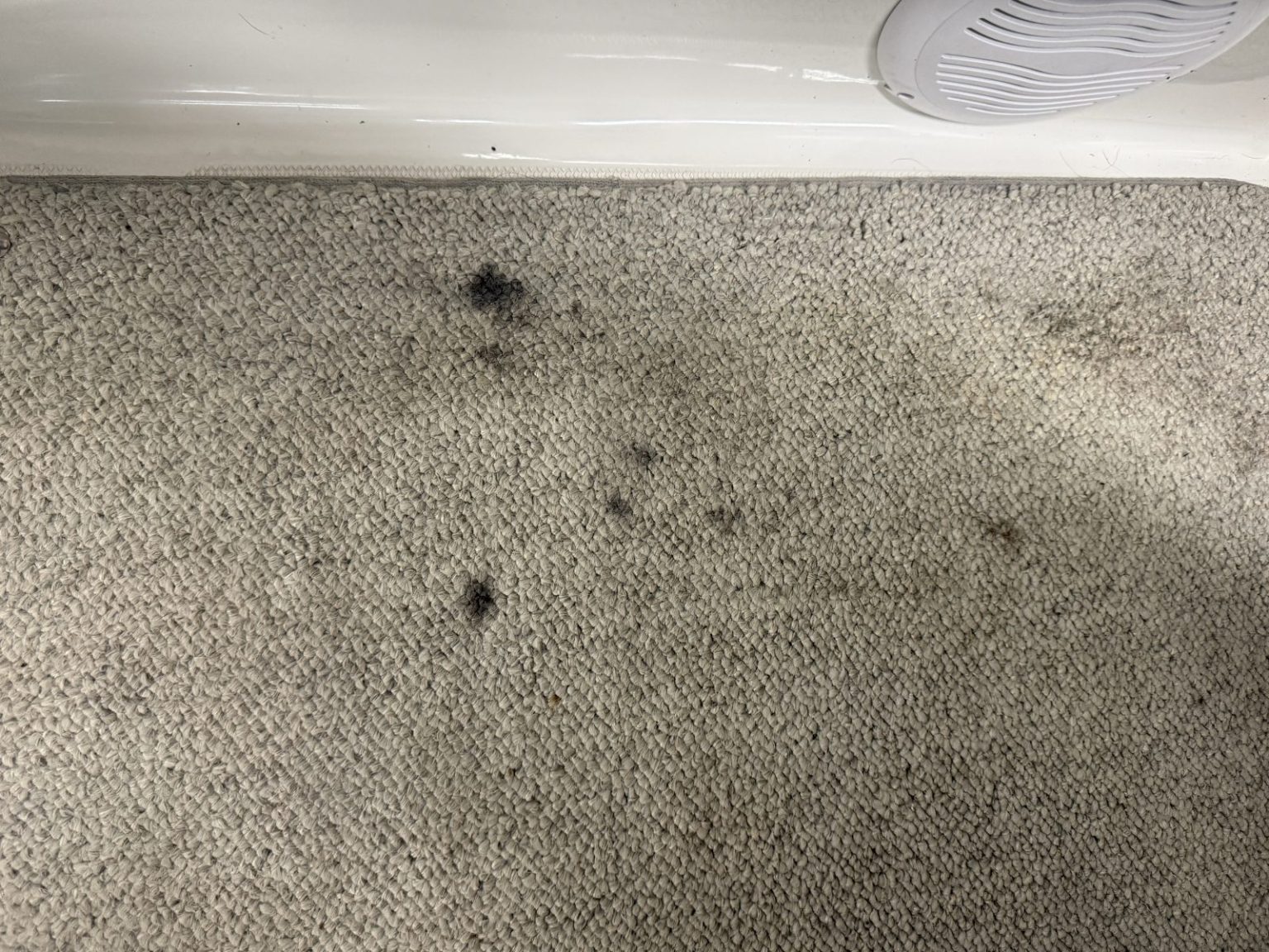 2008 Caravelle 196 - Hallberg Marine